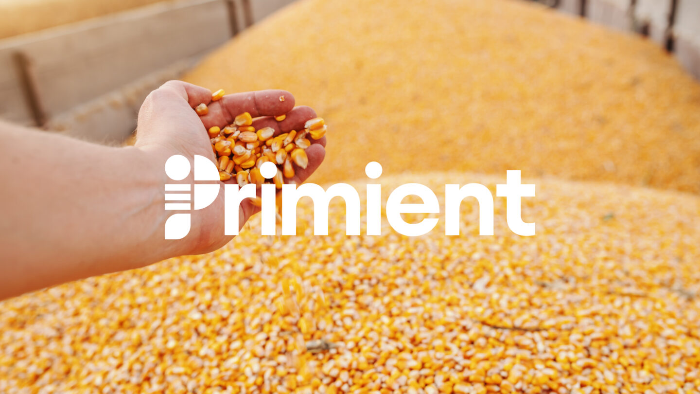 Primient | Case Study | Brand Strategy | The Team