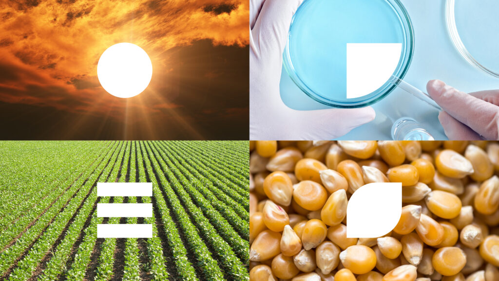 Primient | Case Study | Brand Strategy | The Team