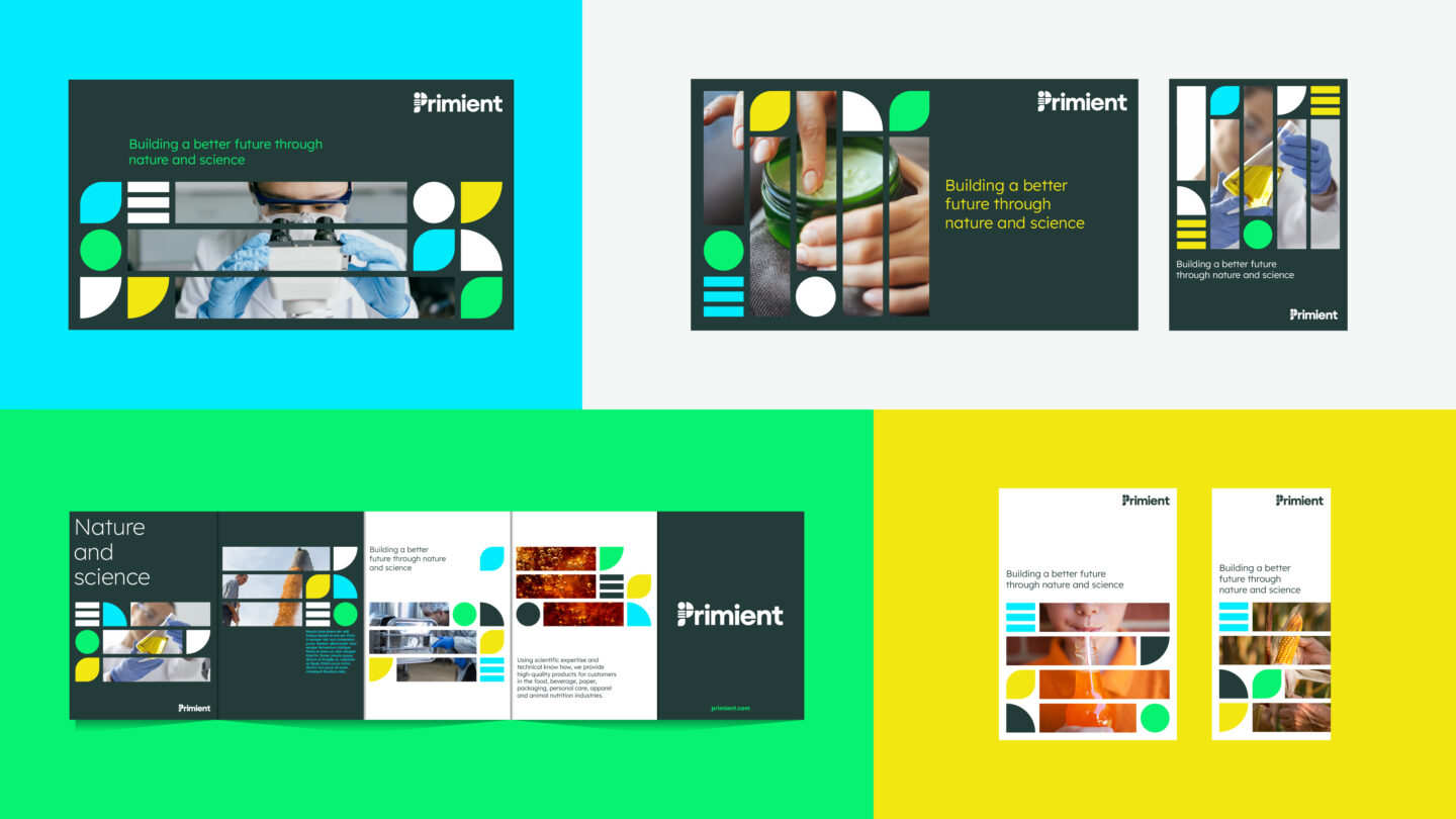 Primient | Case Study | Brand Strategy | The Team